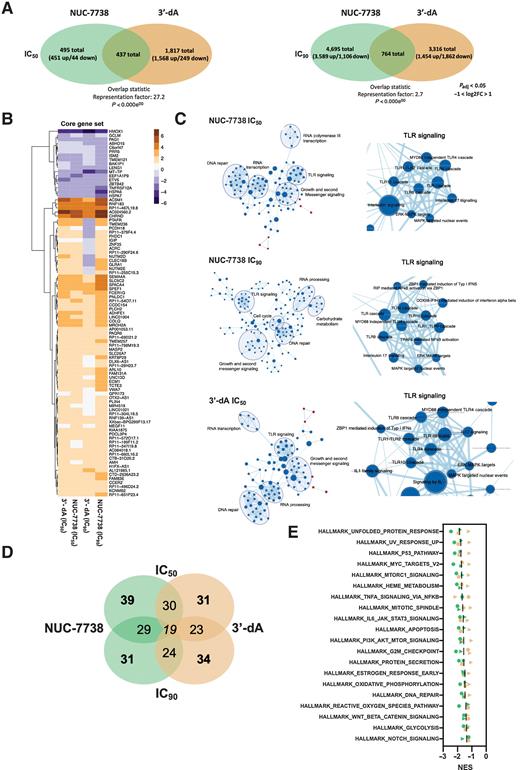 The Novel Nucleoside Analogue ProTide NUC-7738 Overcomes Cancer ...