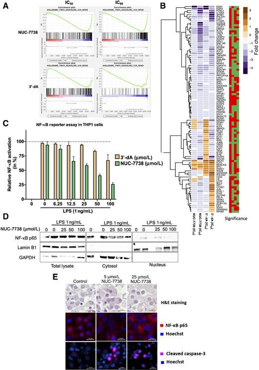 The Novel Nucleoside Analogue ProTide NUC-7738 Overcomes Cancer ...