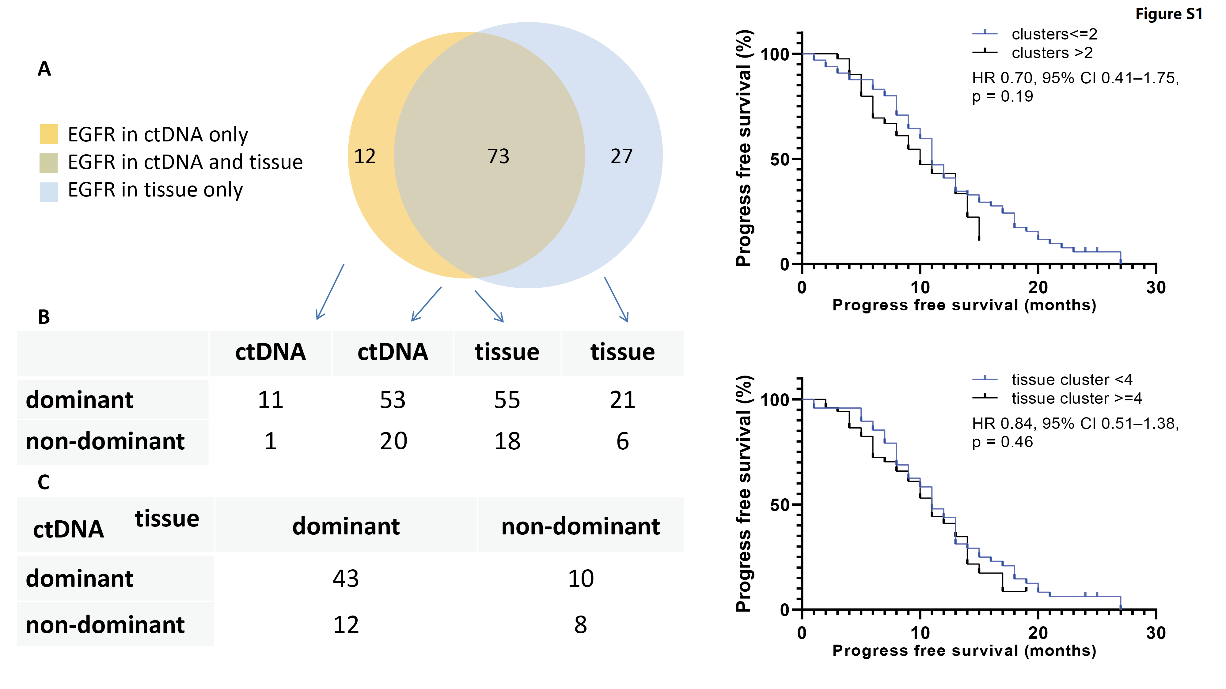 Clonal Architecture of EGFR Mutation Predicts the Efficacy of EGFR ...