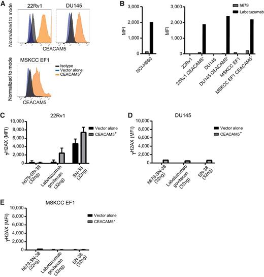 Regulation of CEACAM5 and Therapeutic Efficacy of an Anti-CEACAM5–SN38 ...