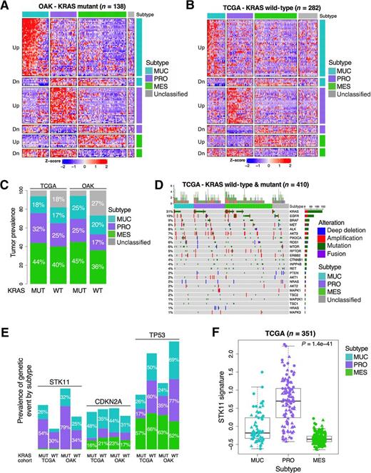 Transcriptional Subtypes Resolve Tumor Heterogeneity and Identify ...