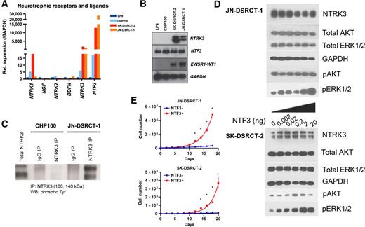 Therapeutic Potential of NTRK3 Inhibition in Desmoplastic Small Round ...