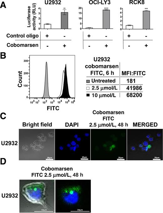 Cobomarsen, an Oligonucleotide Inhibitor of miR-155, Slows DLBCL Tumor ...