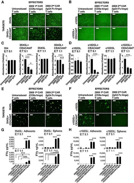 CEACAM7 Is an Effective Target for CAR T-cell Therapy of Pancreatic ...