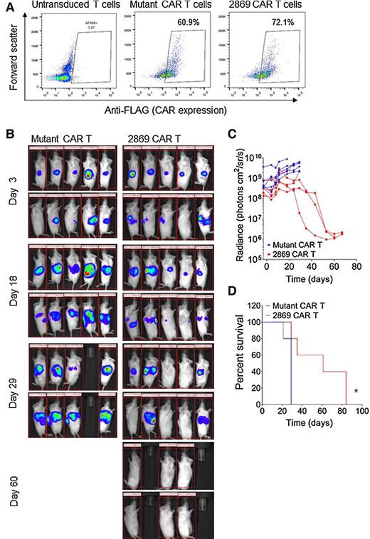 CEACAM7 Is an Effective Target for CAR T-cell Therapy of Pancreatic ...