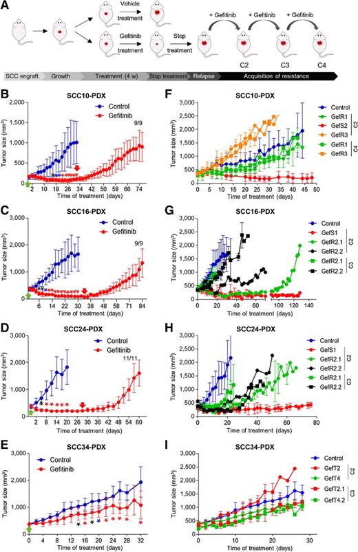 FGFR Inhibition Overcomes Resistance to EGFR-targeted Therapy in ...