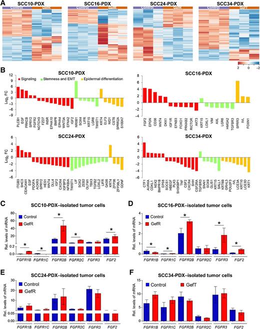 FGFR Inhibition Overcomes Resistance to EGFR-targeted Therapy in ...