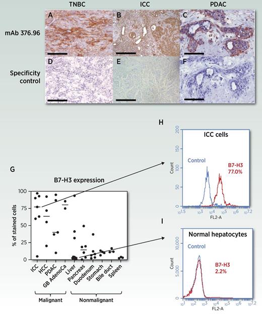 B7-H3: An Attractive Target for Antibody-based Immunotherapy | Clinical ...