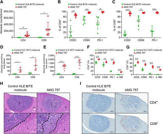 AMG 757, a Half-Life Extended, DLL3-Targeted Bispecific T-Cell Engager ...