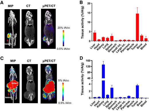 Molecular Imaging of Prostate Cancer Targeting CD46 Using ImmunoPET ...