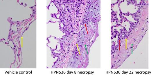 Preclinical Characterization of HPN536, a Trispecific, T-Cell ...