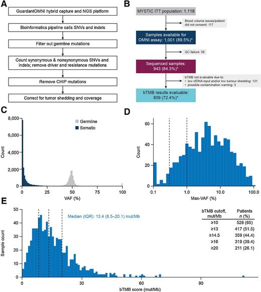 A Blood-based Assay for Assessment of Tumor Mutational Burden in First ...