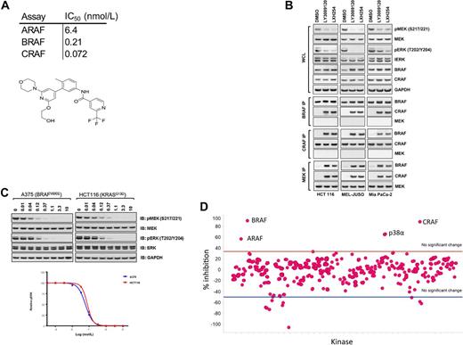 LXH254, a Potent and Selective ARAF-Sparing Inhibitor of BRAF and CRAF ...