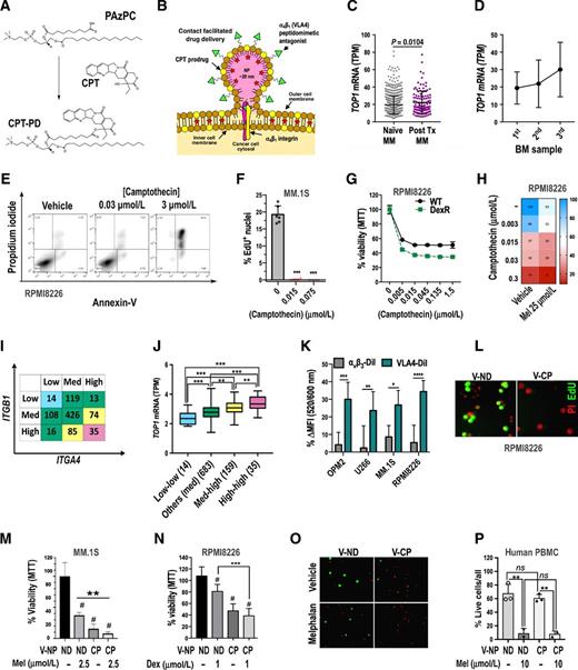 VLA4-Targeted Nanoparticles Hijack Cell Adhesion–Mediated Drug ...