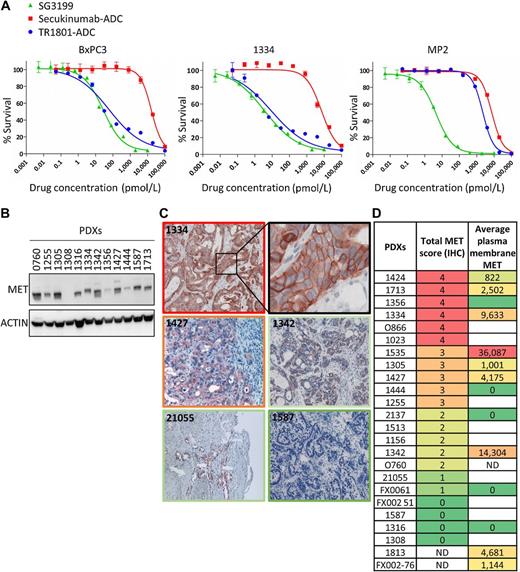 A MET Targeting Antibody–Drug Conjugate Overcomes Gemcitabine ...