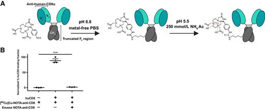 Imaging Tumor-Infiltrating Lymphocytes in Brain Tumors with [64Cu]Cu ...
