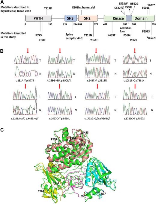 Follicular Lymphoma–associated BTK Mutations are Inactivating Resulting ...