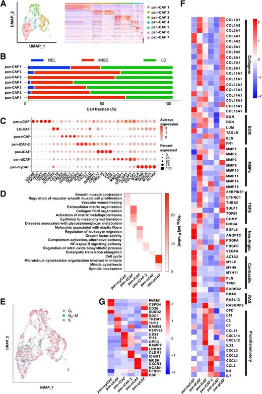 Molecular Features of Cancer-associated Fibroblast Subtypes and their ...