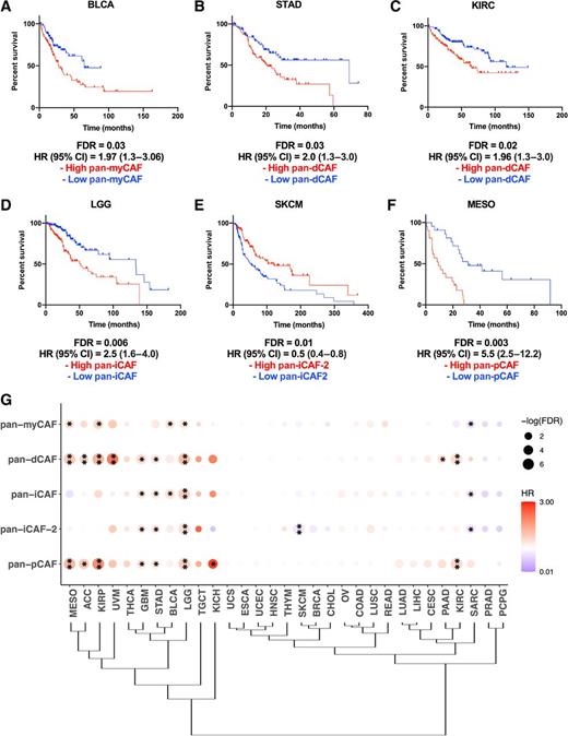 Molecular Features of Cancer-associated Fibroblast Subtypes and their ...