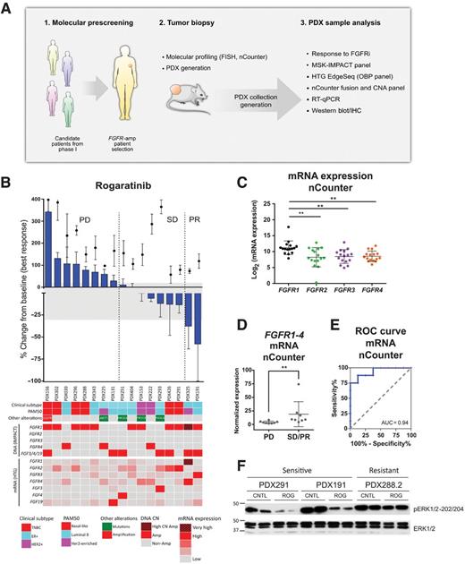 High FGFR1–4 mRNA Expression Levels Correlate with Response to ...
