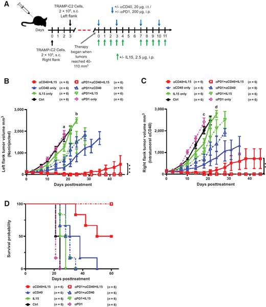 IL15 and Anti–PD-1 Augment the Efficacy of Agonistic Intratumoral Anti ...