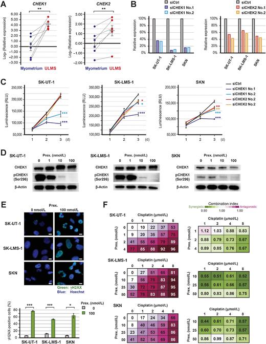 Aberrant Activation of Cell-Cycle–Related Kinases and the Potential ...
