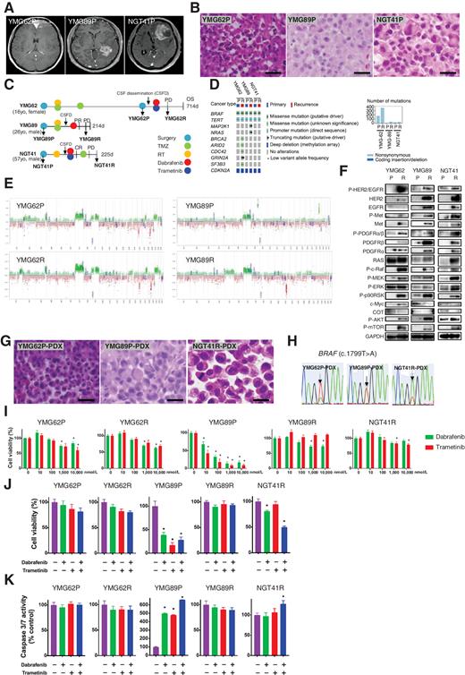 HSP90 Inhibition Overcomes Resistance to Molecular Targeted Therapy in BRAFV600E-mutant High ...