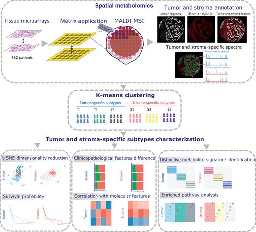 Spatial Metabolomics Identifies Distinct Tumor-Specific Subtypes in ...