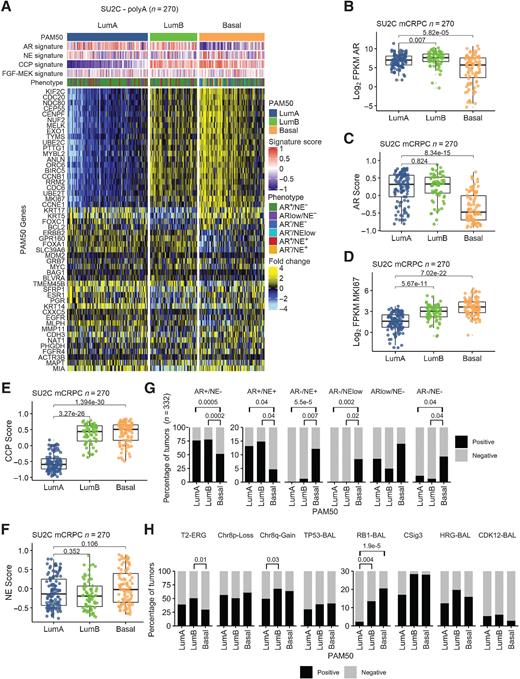 Therapeutic Implications for Intrinsic Phenotype Classification of ...