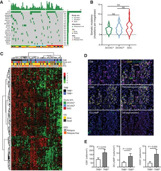 An Autologous Dendritic Cell Vaccine Promotes Anticancer Immunity in ...