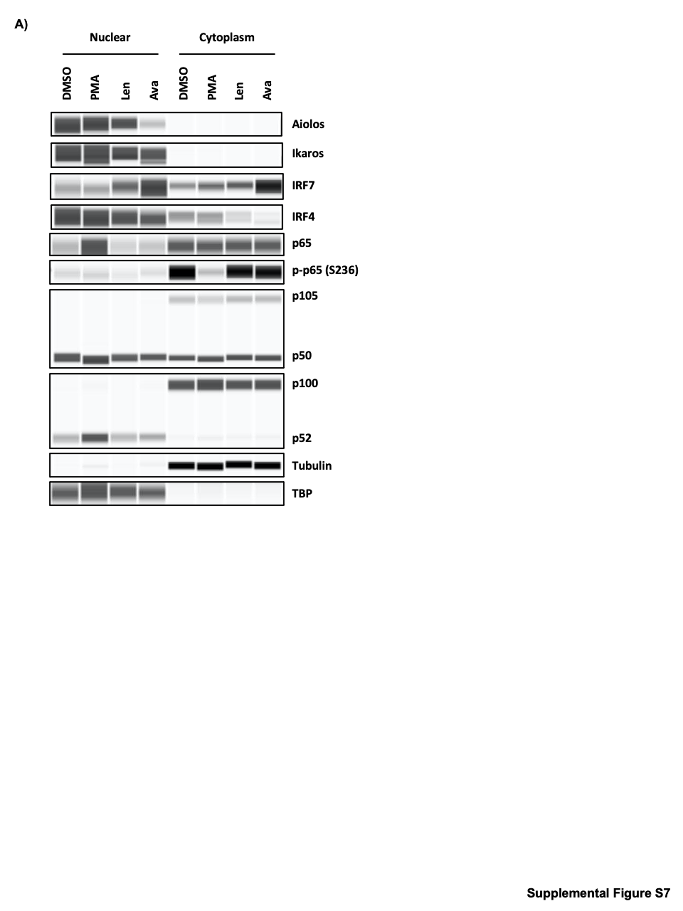 Interactome of Aiolos/Ikaros Reveals Combination Rationale of Cereblon ...