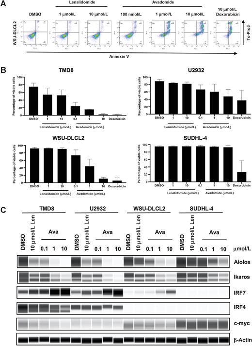 Interactome of Aiolos/Ikaros Reveals Combination Rationale of Cereblon ...