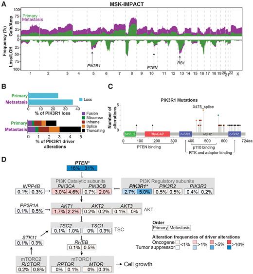 The Impact of PIK3R1 Mutations and Insulin–PI3K–Glycolytic Pathway ...