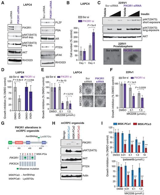 The Impact of PIK3R1 Mutations and Insulin–PI3K–Glycolytic Pathway ...