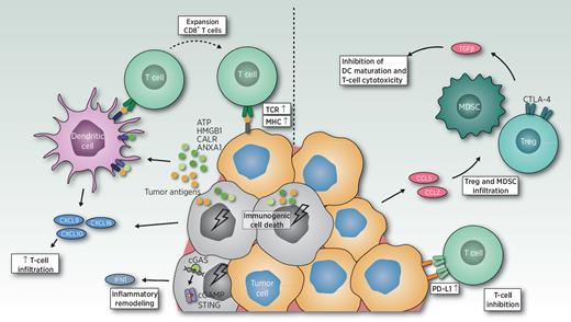 Combining Targeted Radionuclide Therapy and Immune Checkpoint ...