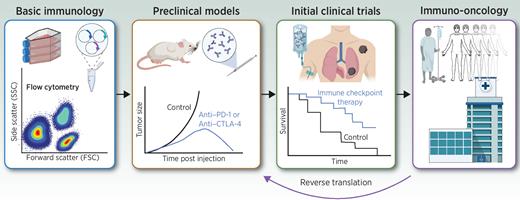Cancer Immunoediting in the Era of Immuno-oncology | Clinical Cancer ...