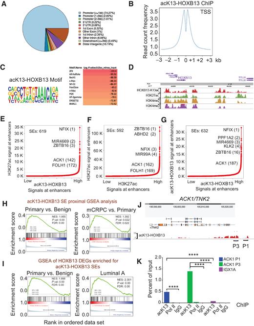 Acetylated HOXB13 Regulated Super Enhancer Genes Define Therapeutic ...