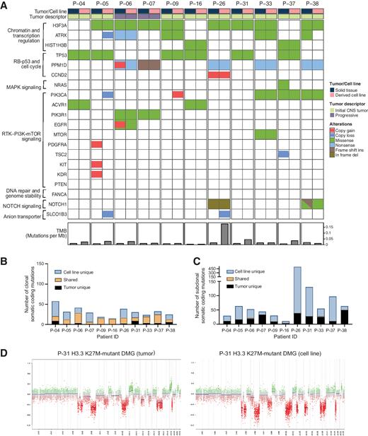 Upfront Biology-Guided Therapy in Diffuse Intrinsic Pontine Glioma ...