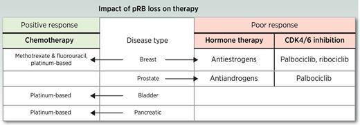 Relevance of pRB Loss in Human Malignancies | Clinical Cancer Research ...