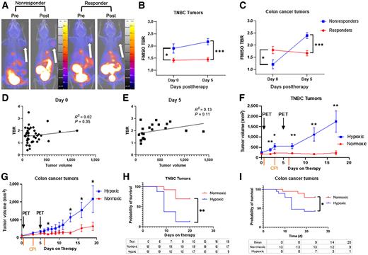 18F-FMISO PET Imaging Identifies Hypoxia and Immunosuppressive Tumor ...