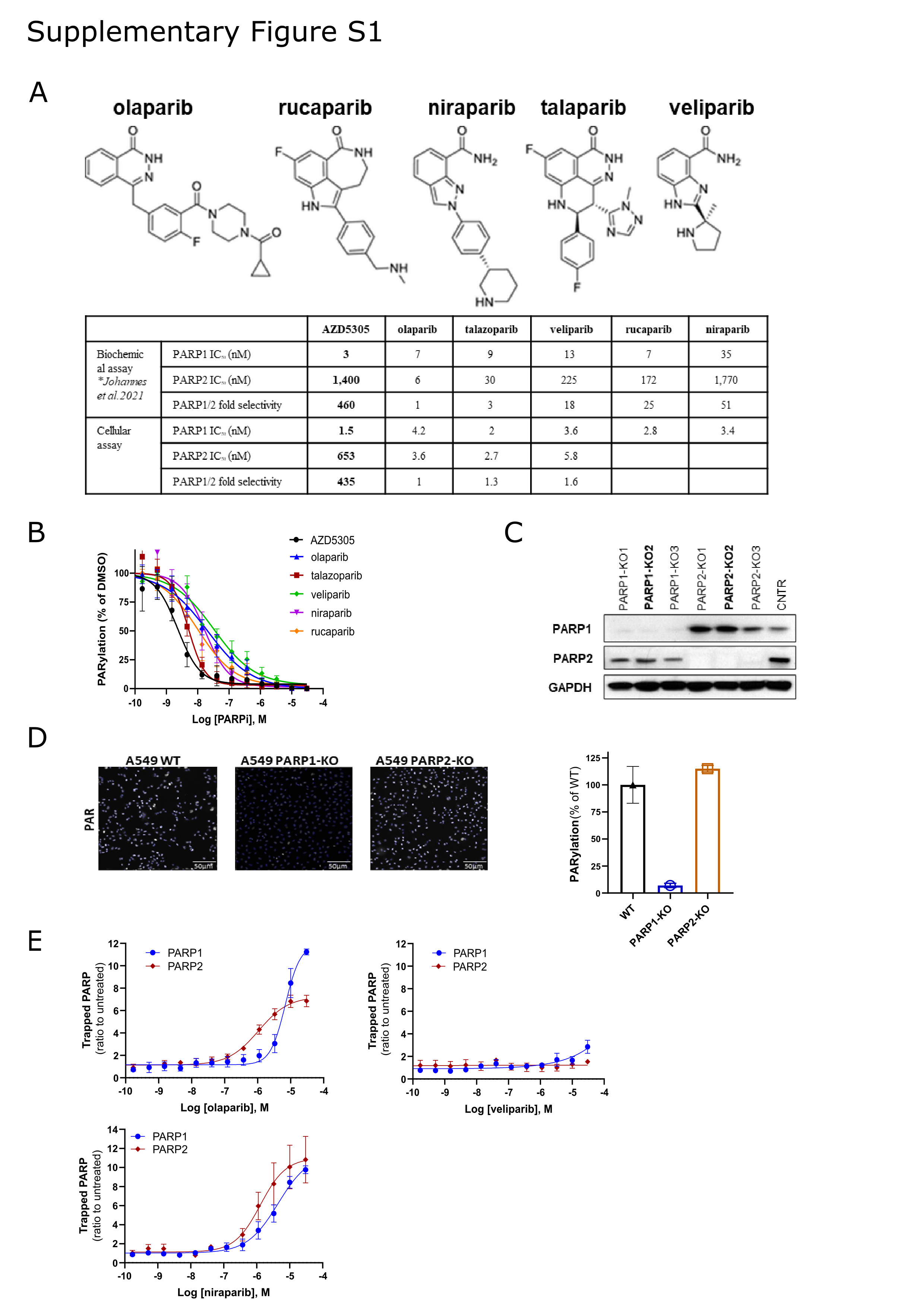 Preclinical Characterization of AZD5305, A Next-Generation, Highly ...