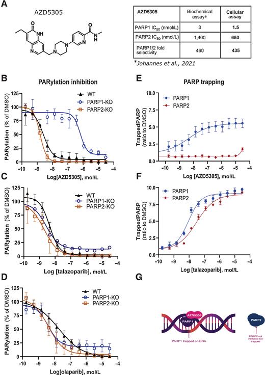 Preclinical Characterization of AZD5305, A Next-Generation, Highly ...