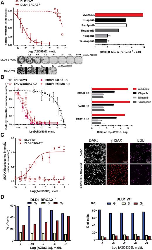 Preclinical Characterization of AZD5305, A Next-Generation, Highly ...