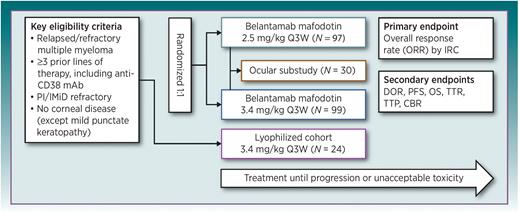 FDA Approval Summary: Belantamab Mafodotin for Patients with Relapsed ...