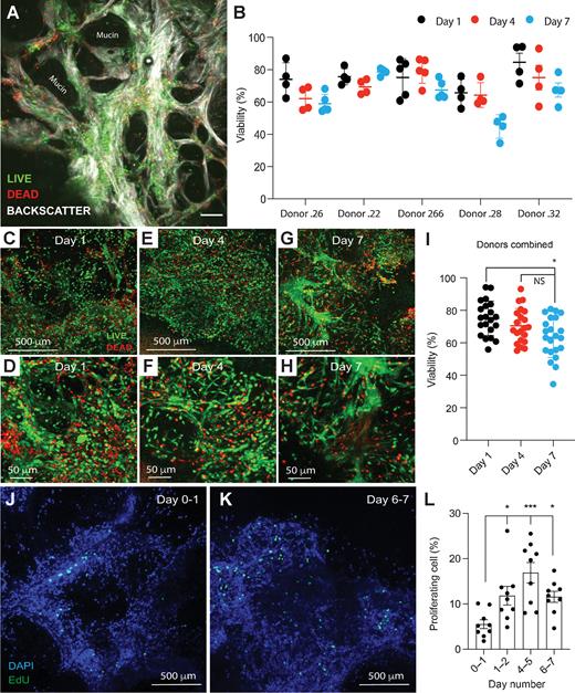 An Ex Vivo Organotypic Culture Platform for Functional Interrogation of ...