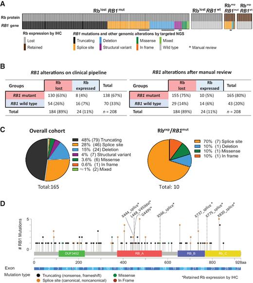 Rb Tumor Suppressor in Small Cell Lung Cancer: Combined Genomic and IHC ...
