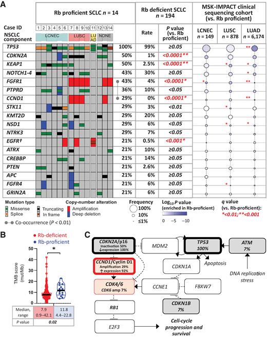 Rb Tumor Suppressor in Small Cell Lung Cancer: Combined Genomic and IHC ...