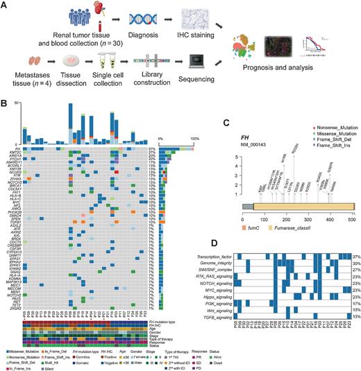 Genomic Characteristics and Single-Cell Profiles After Immunotherapy in ...