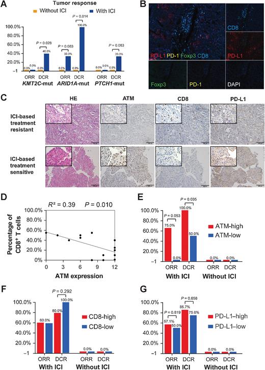 Genomic Characteristics and Single-Cell Profiles After Immunotherapy in ...
