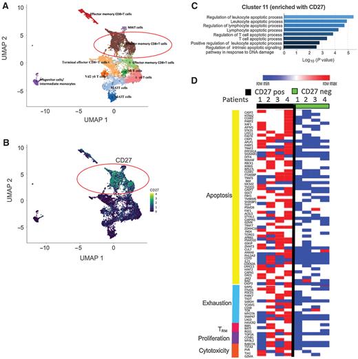 Plasma CD27, a Surrogate of the Intratumoral CD27–CD70 Interaction ...